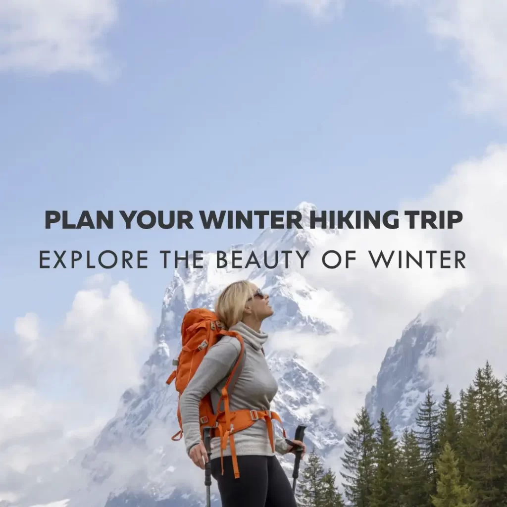 Planning a Winter Hike: Essential Tips and Tricks - Walking Academy
